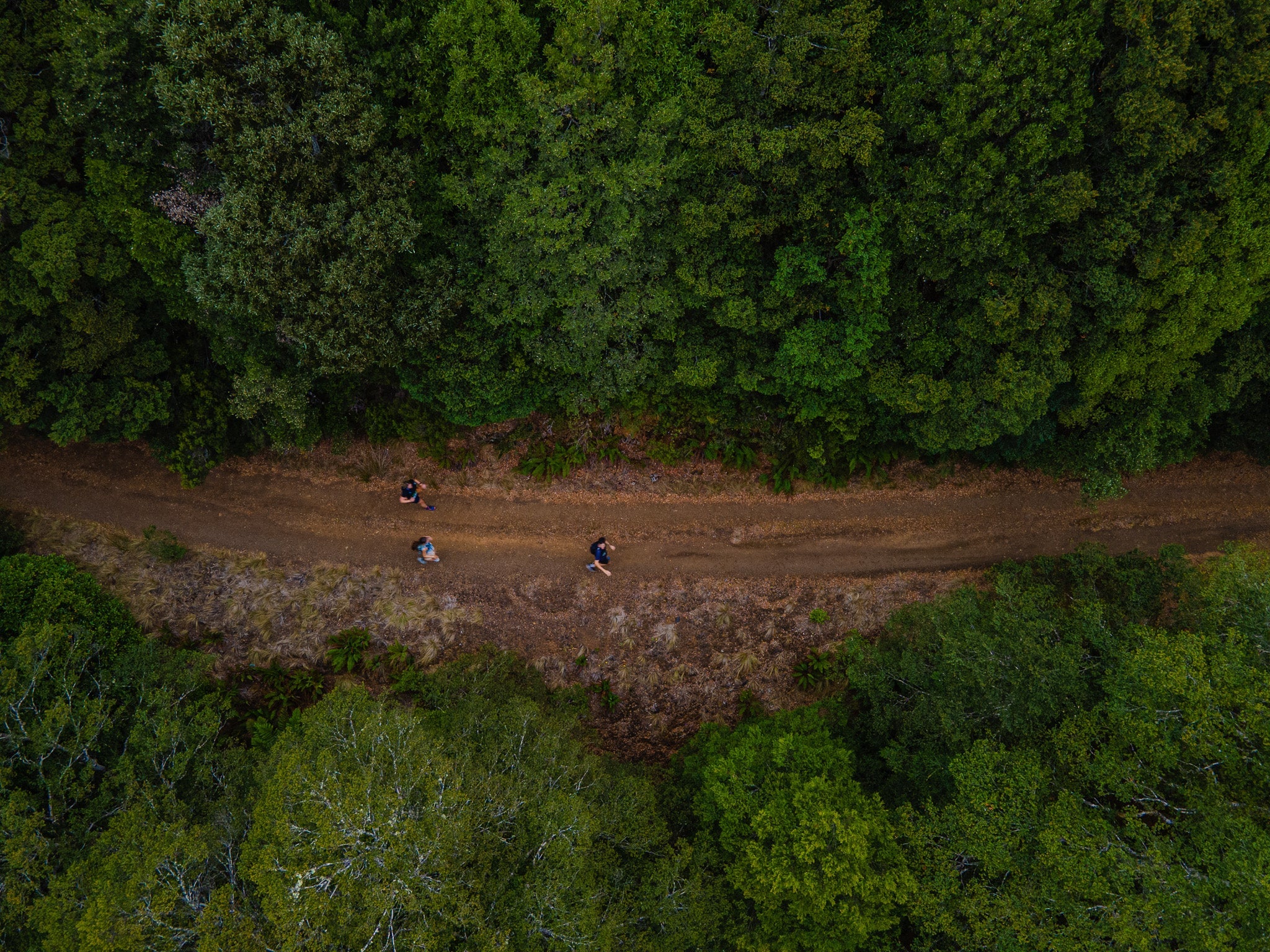 RUNNING MISFITS: “AS A FIRST TIMER TO TAKAYNA TRAIL, IT STRUCK ME RIGH ...