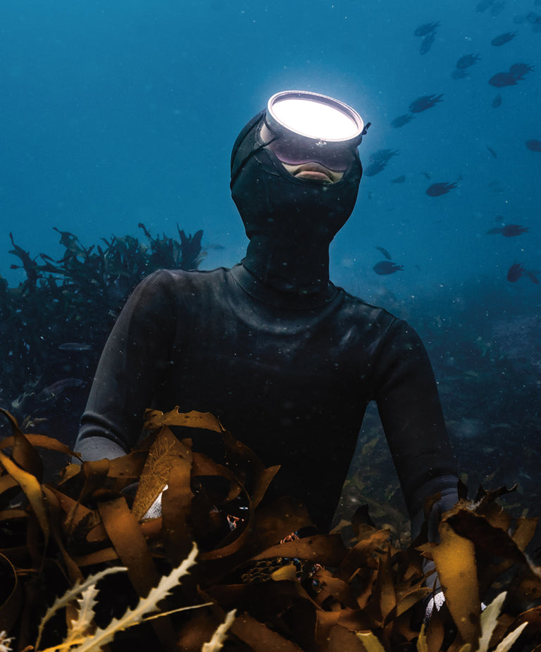 Films - Patagonia Australia