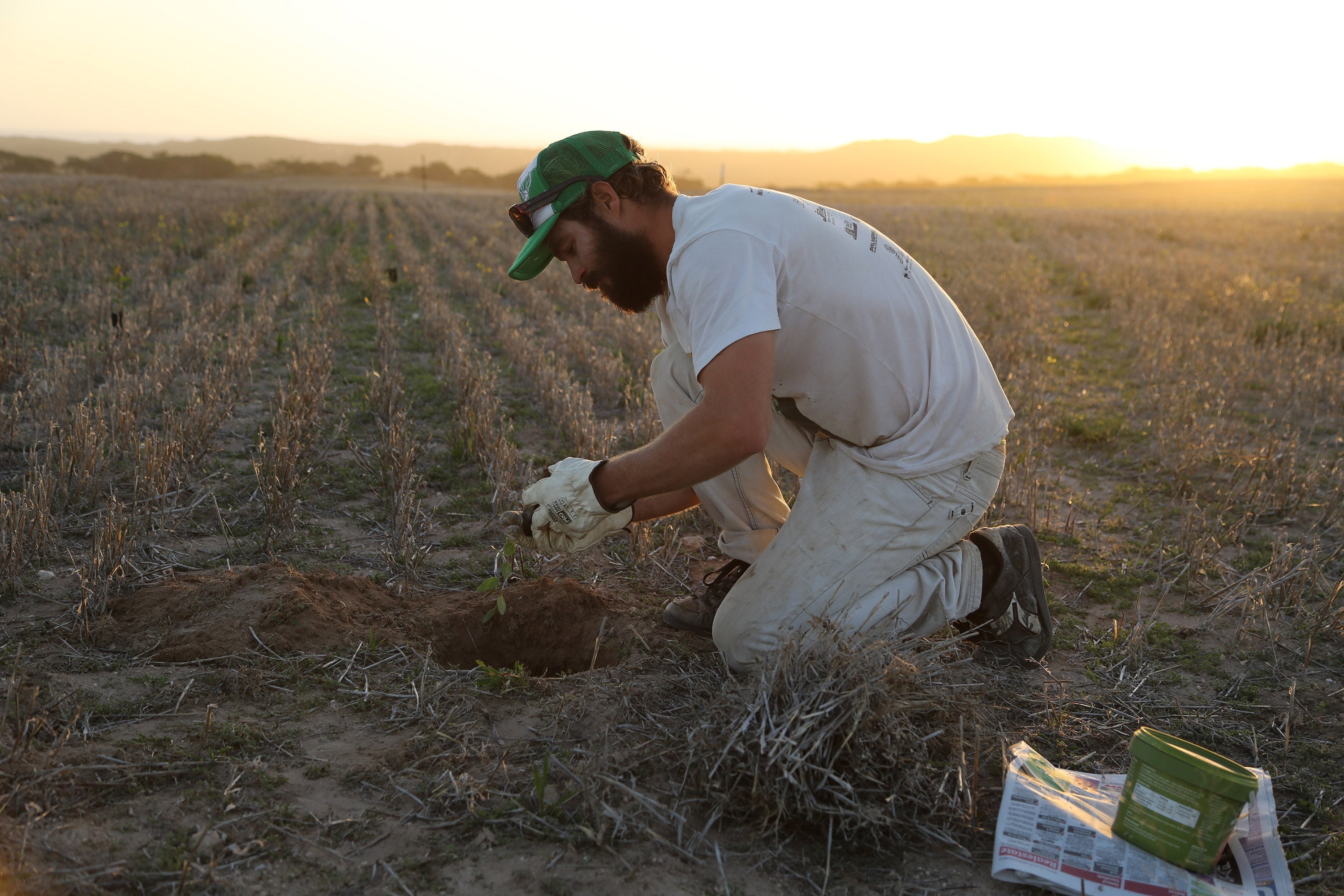 You Are What You Eat - Regenerative Agriculture: A Revolution Taking ...