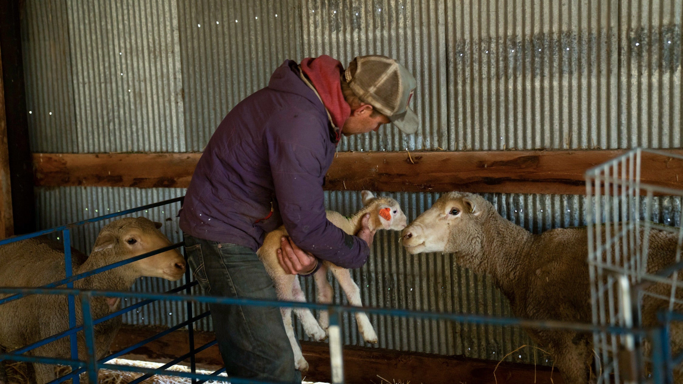 Doing the Work - Patagonia Australia
