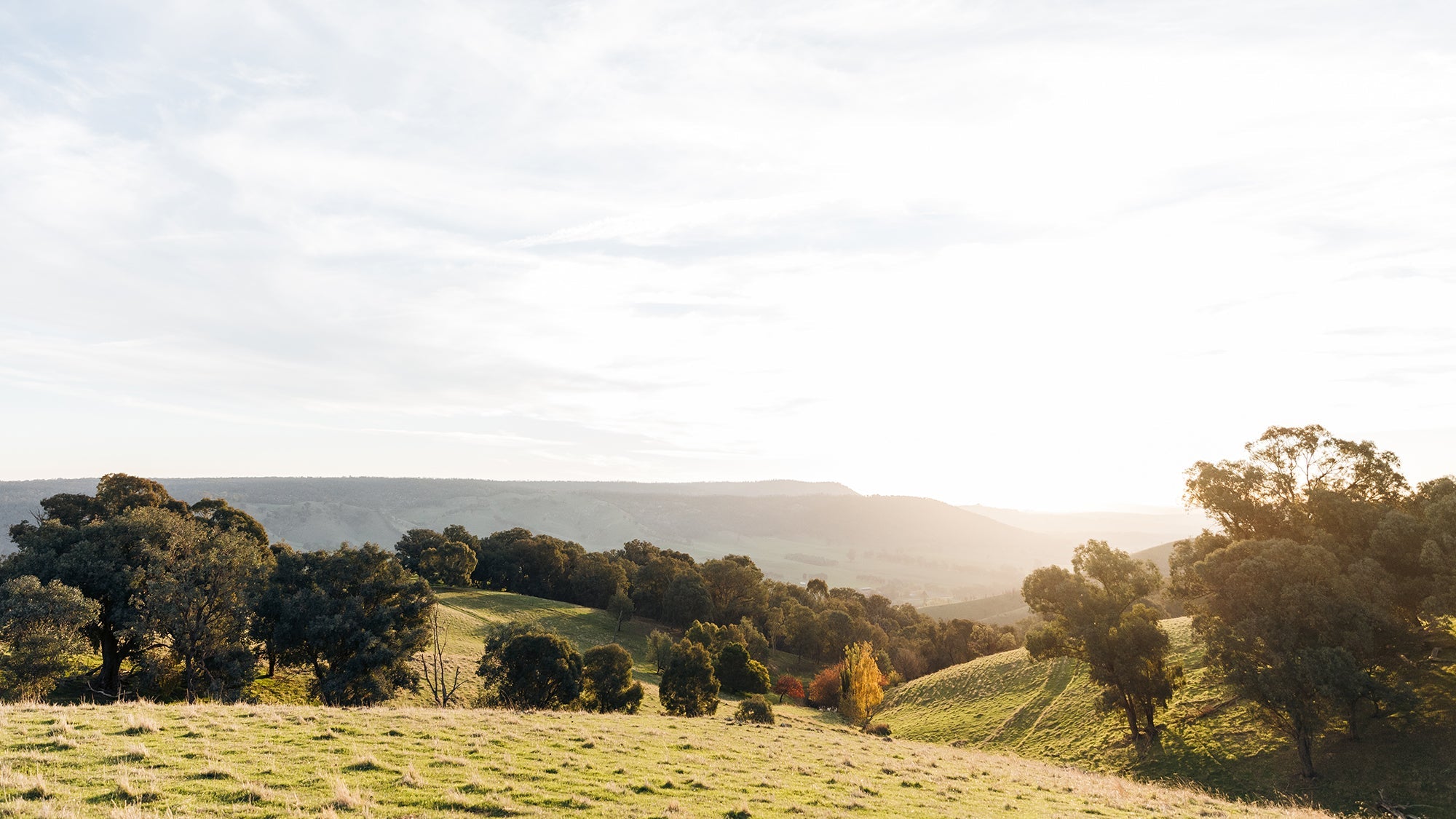 THE TOWN OF YACK TAKES THE POWER BACK: NOW WHAT’S NEXT FOR COMMUNITY R ...