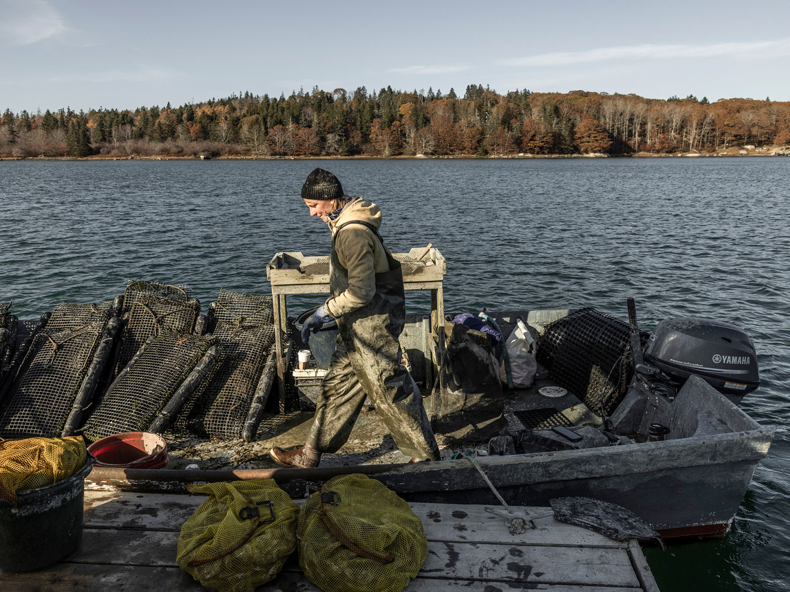 KIN - Patagonia Australia