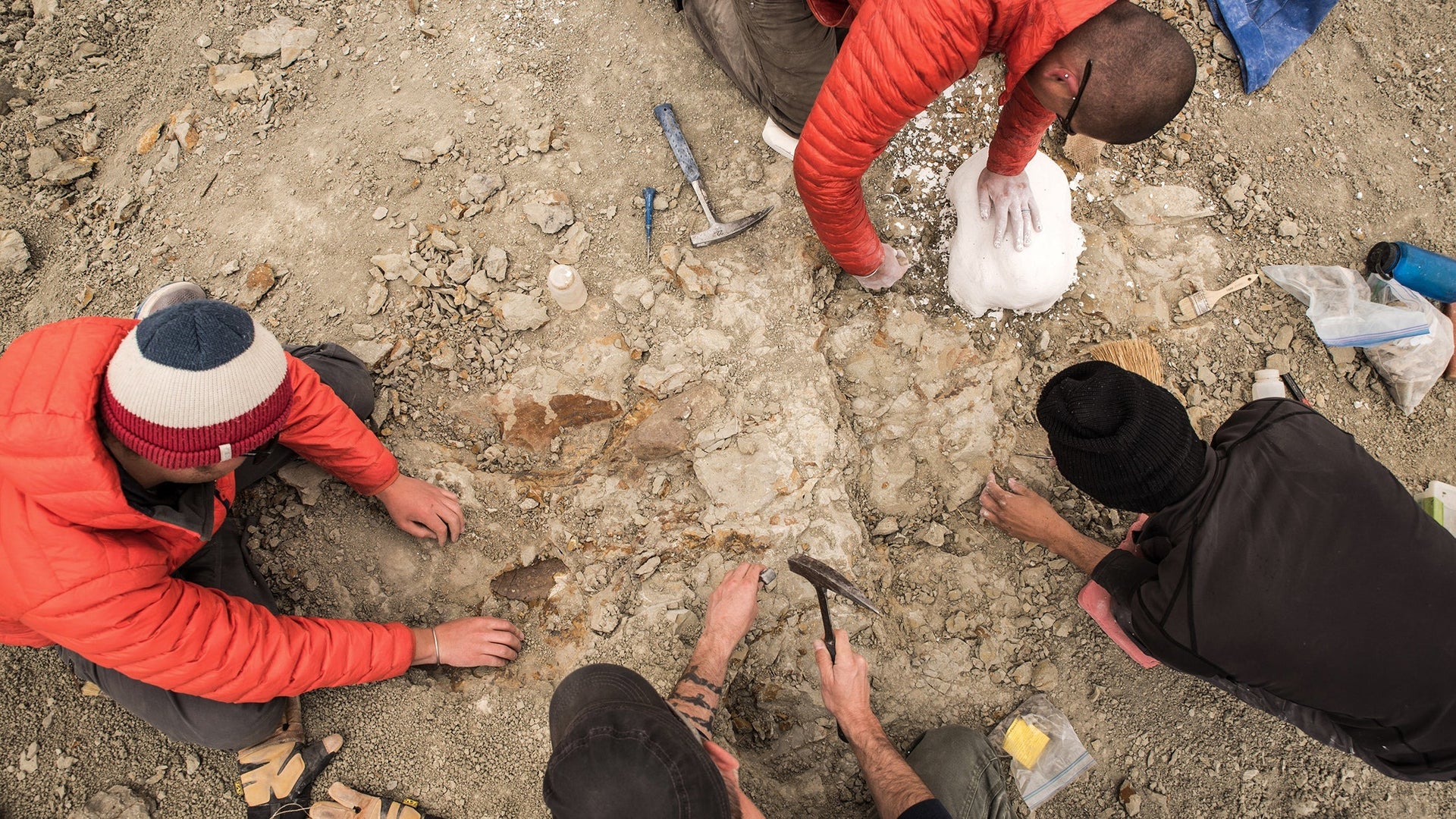 Digging for Answers - Patagonia Australia