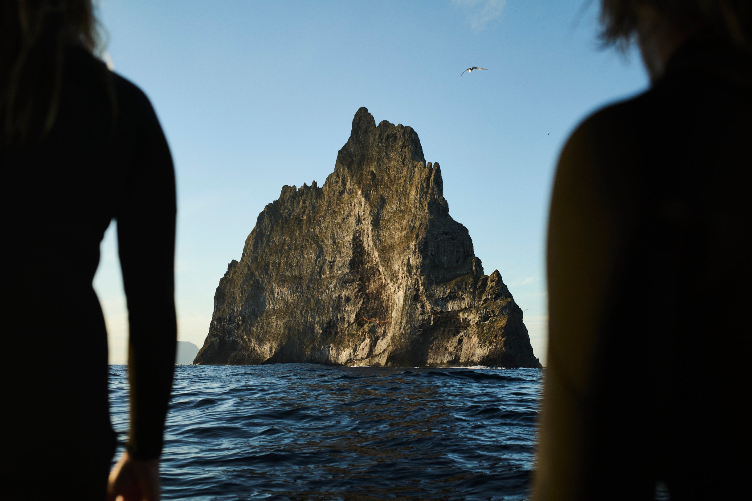 Protect the Ocean - Patagonia Australia
