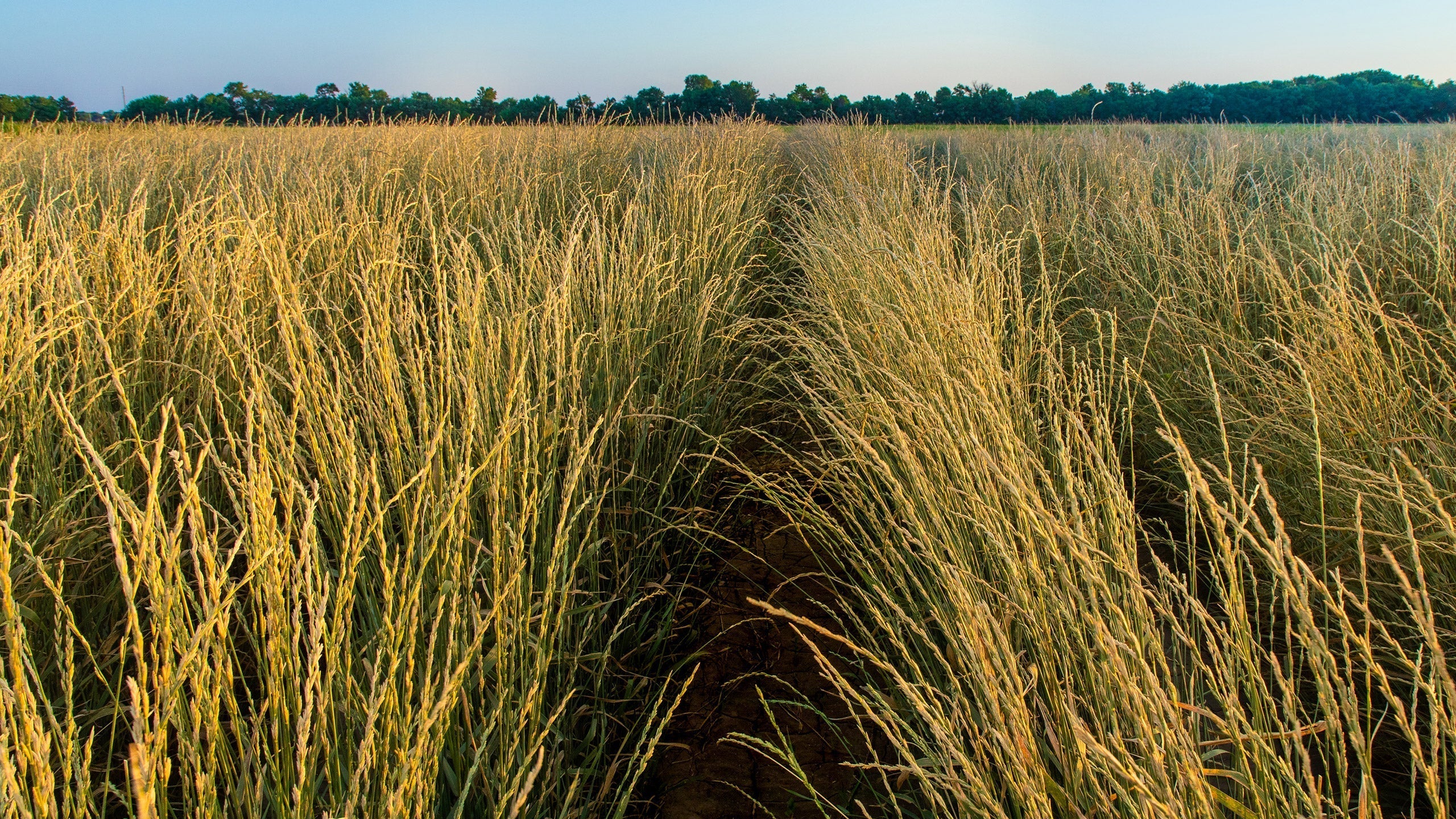Unbroken Ground - Patagonia Australia