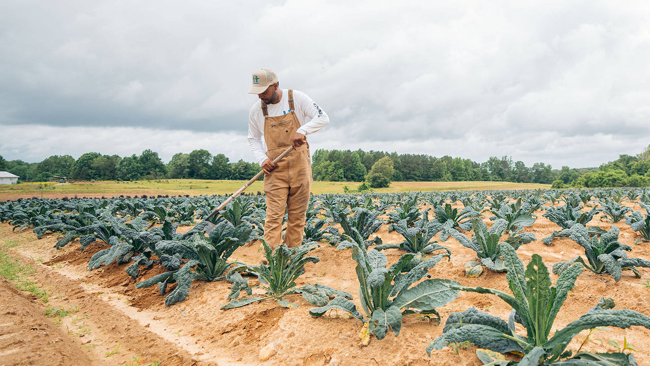 Workwear - Built for the Hardest Work - Patagonia Australia