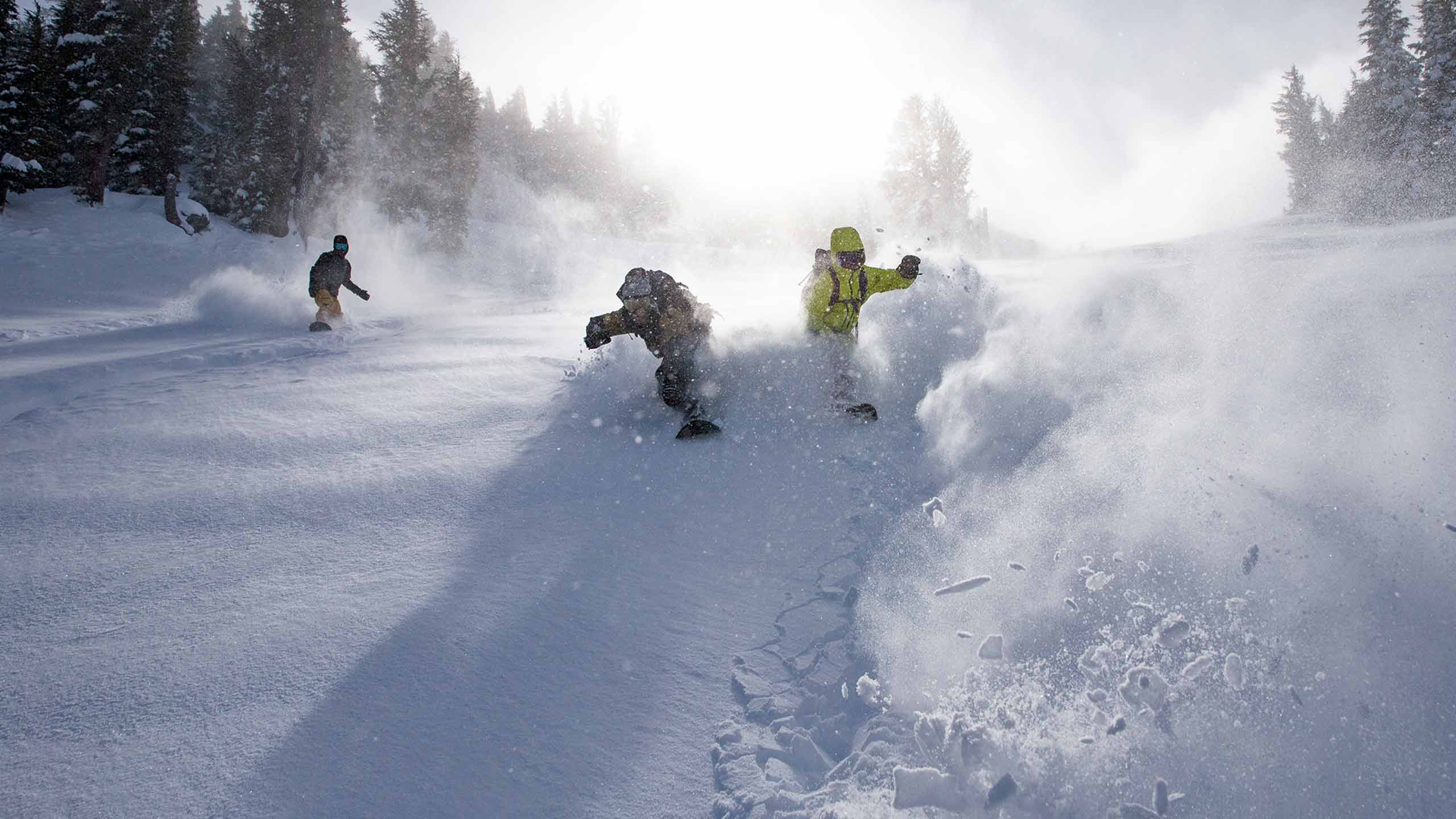 Powder Town Collection - Patagonia Australia