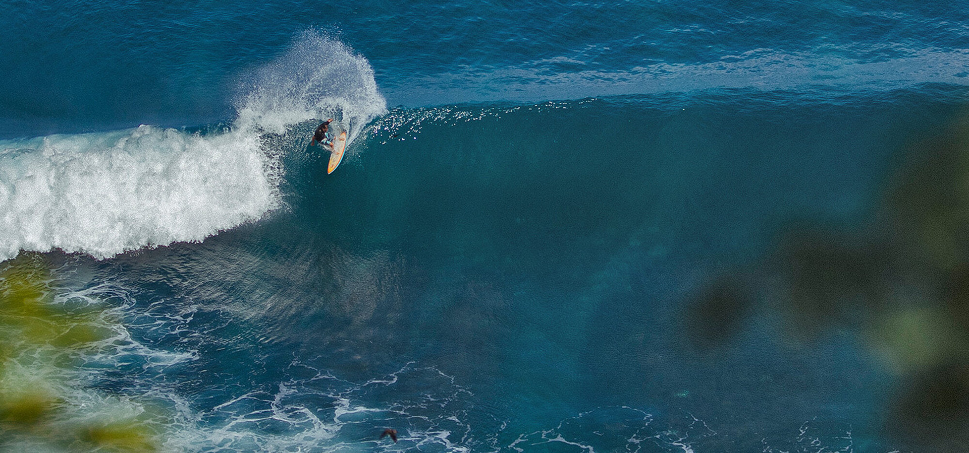 Wayne Lynch - Patagonia Australia