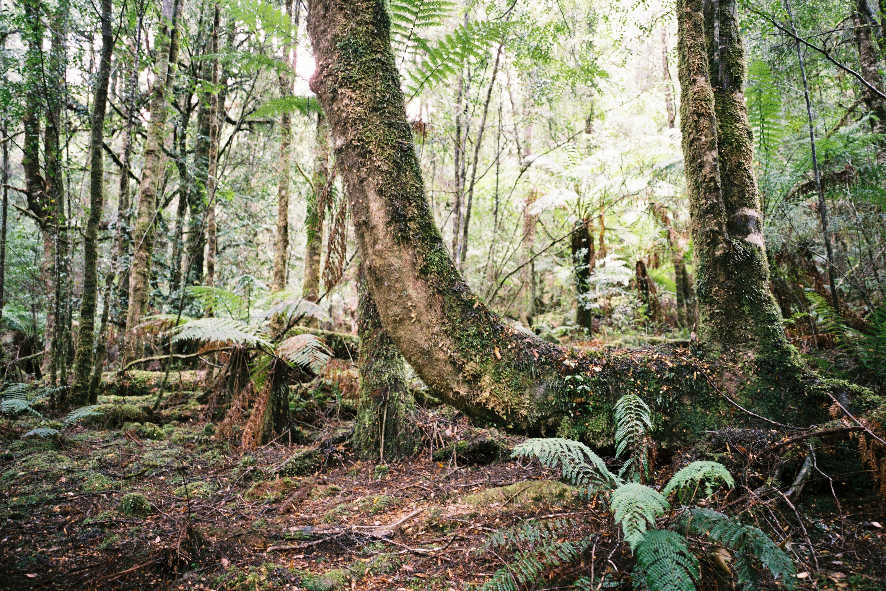 RUNNING MISFITS: “AS A FIRST TIMER TO TAKAYNA TRAIL, IT STRUCK ME RIGH ...