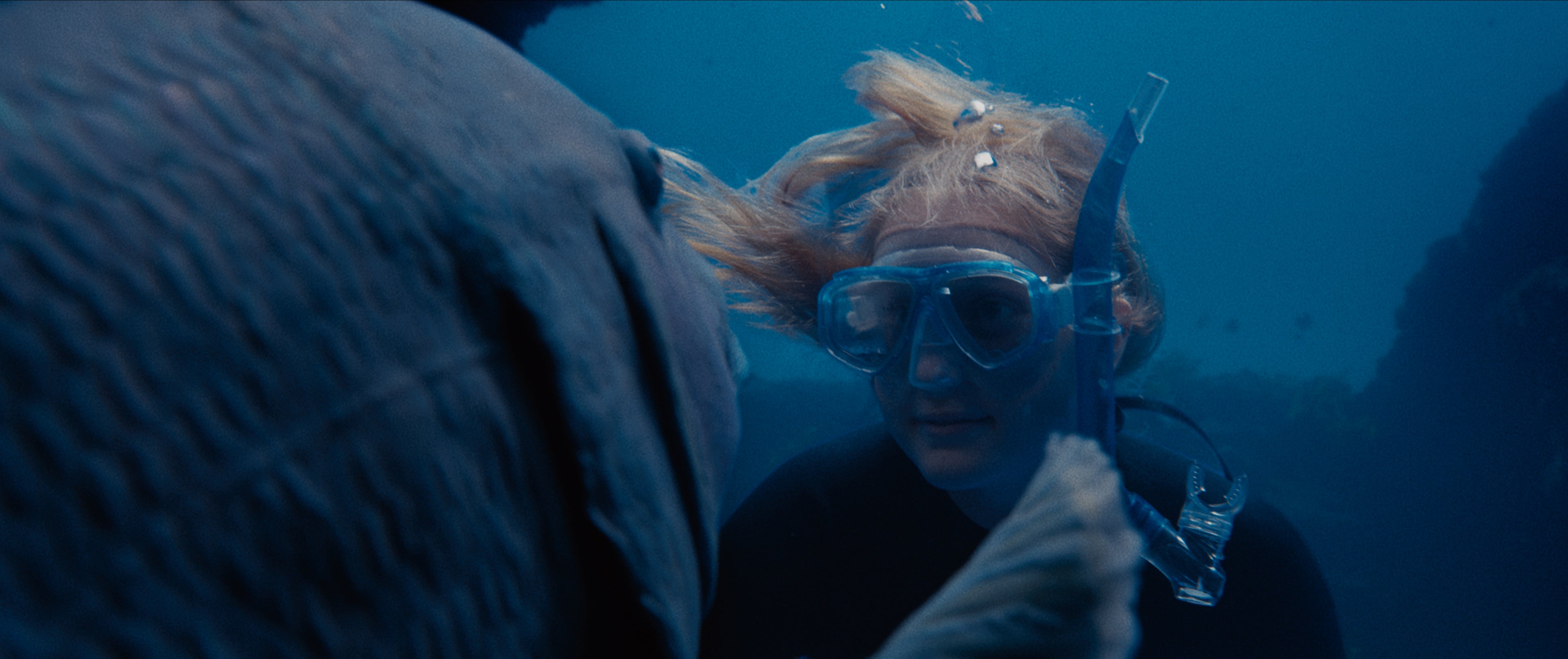 TEENAGE ACTIVISM HAS A NEW ICON... A BIG, BLUE FISH. - Patagonia Australia