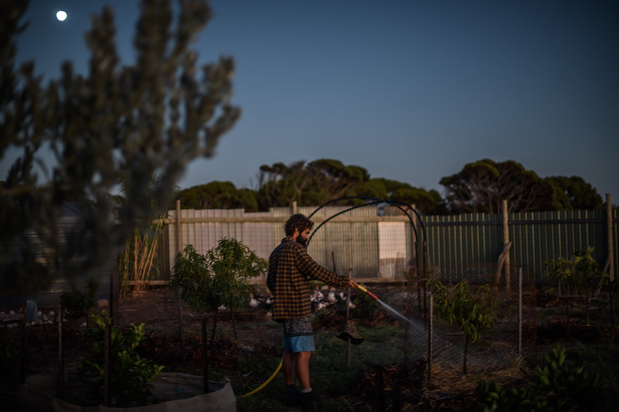 HEATH JOSKE: LANDSCAPE ALCHEMIST, TURNING SHIT, STRAW AND SEAWEED INTO ...