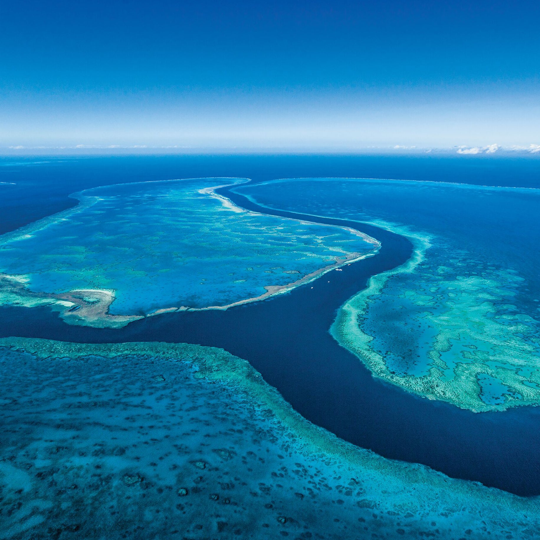 Protect the Ocean - Patagonia Australia