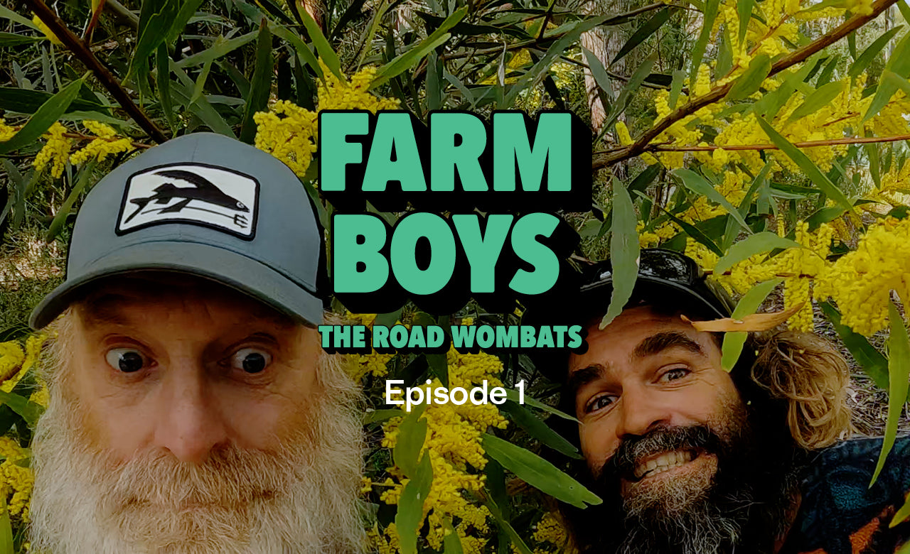 Farm Boys - Patagonia Australia