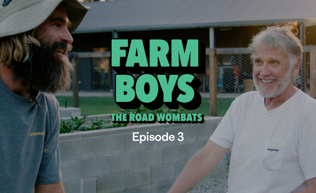 Farm Boys - Patagonia Australia