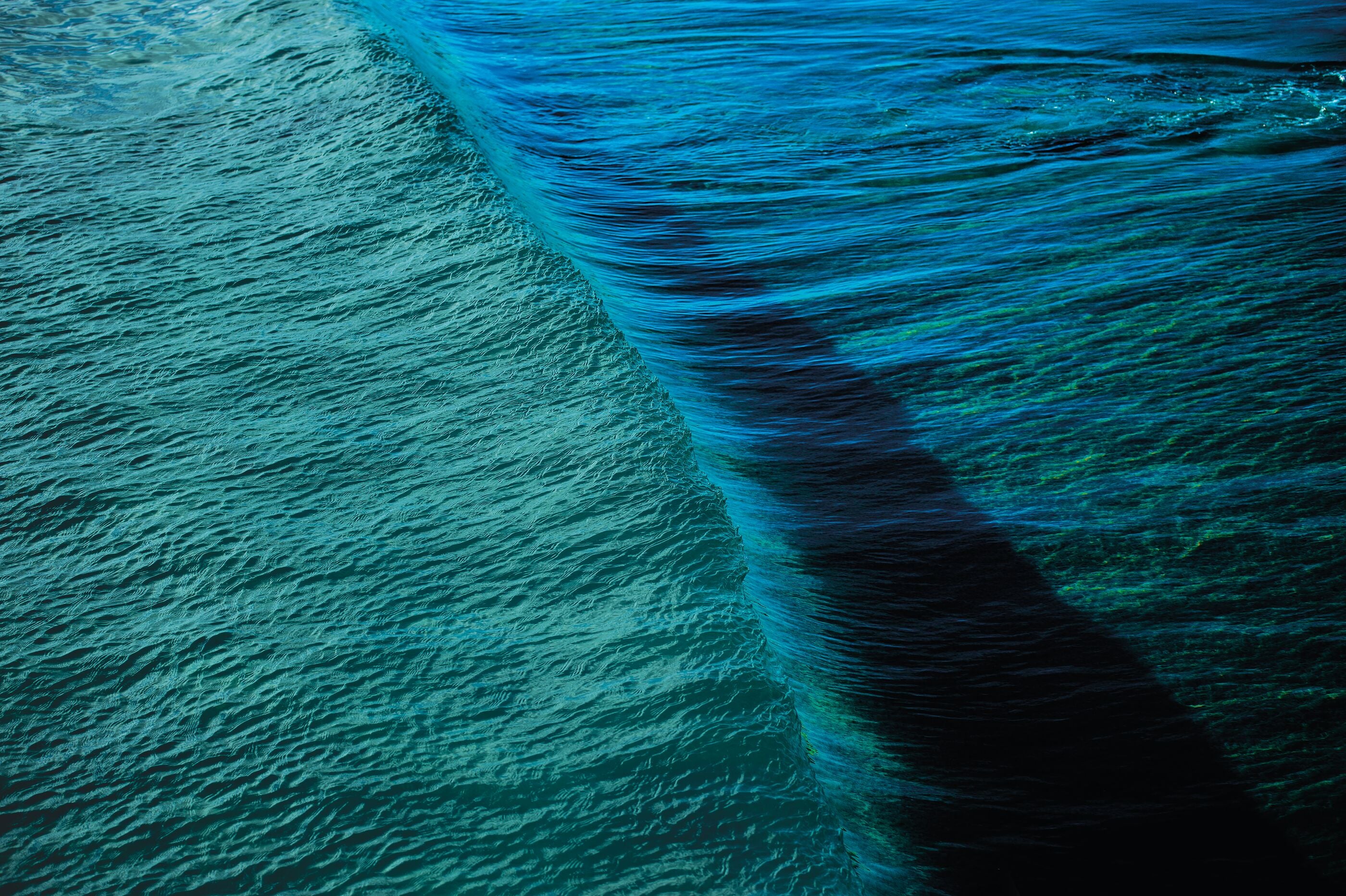 It’s time to protect Australia’s ocean, for good. - Patagonia Australia