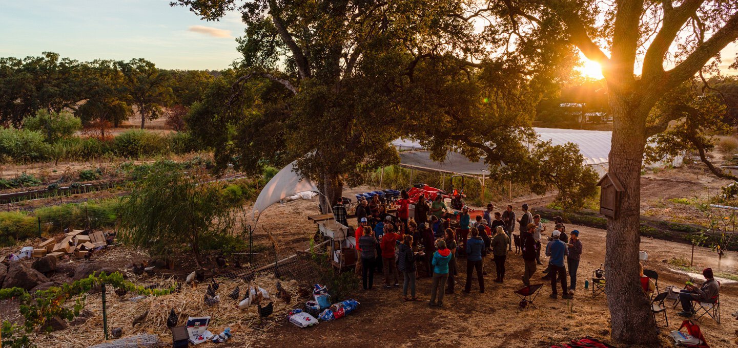 Activism - Patagonia Australia