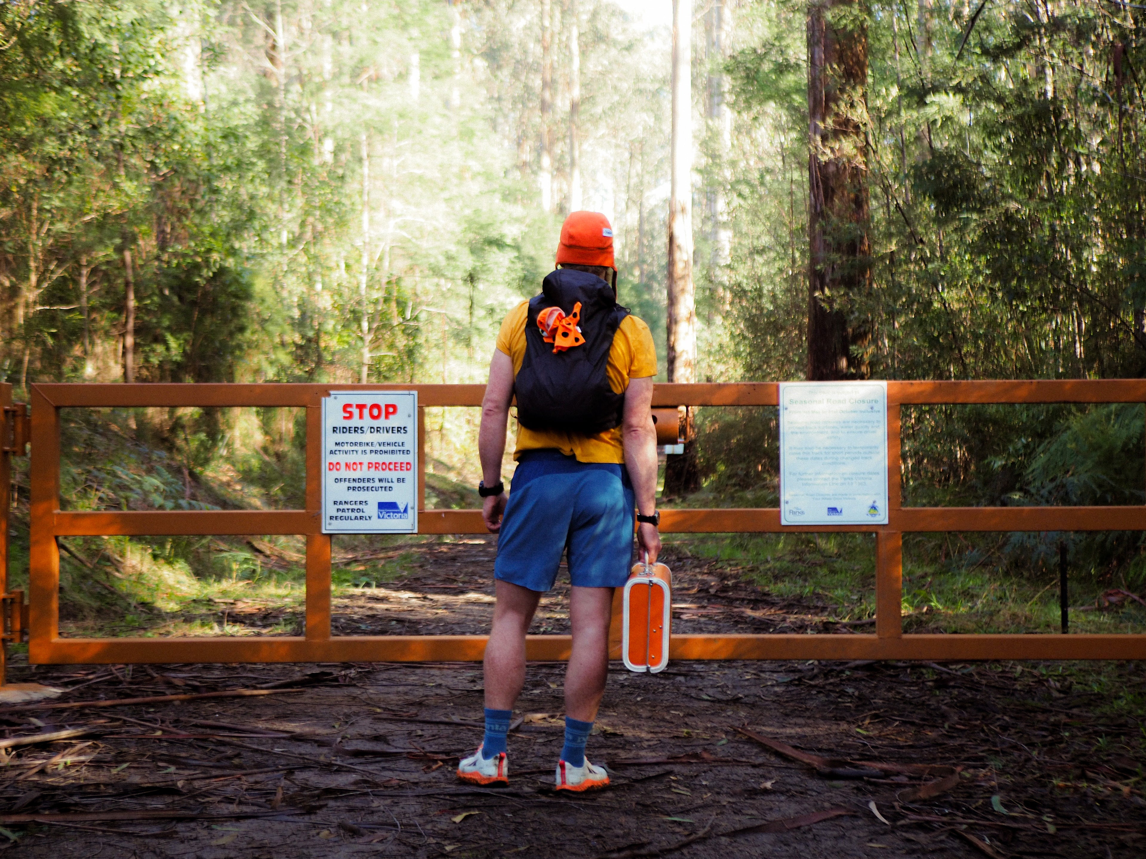 BEAU MILES’ PUMPKIN PROJECT: “I WAS SHOCKED AT HOW EASY LIFE WAS WHEN ...