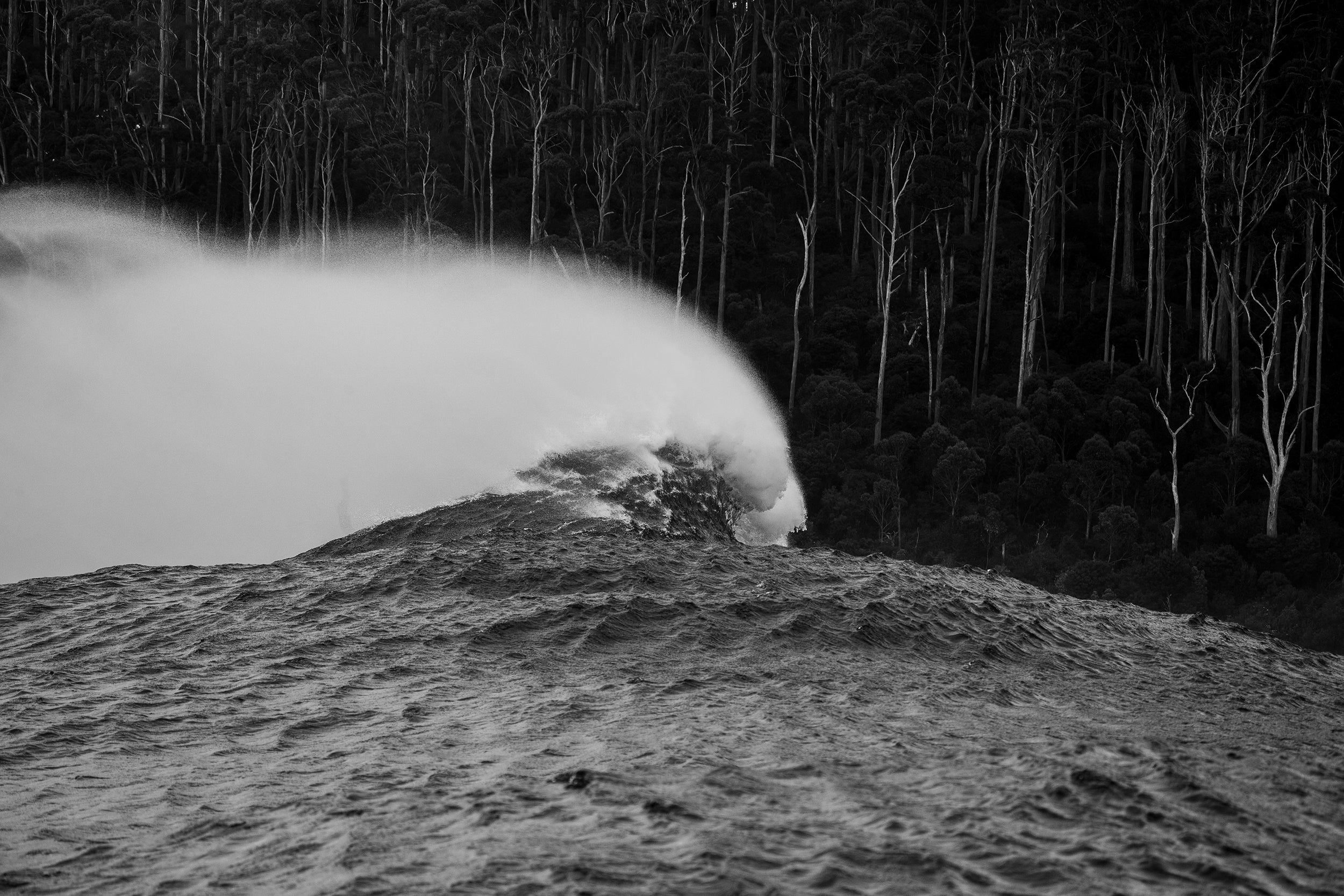 Code Blue: Climate Change is Ocean Change - Patagonia Australia