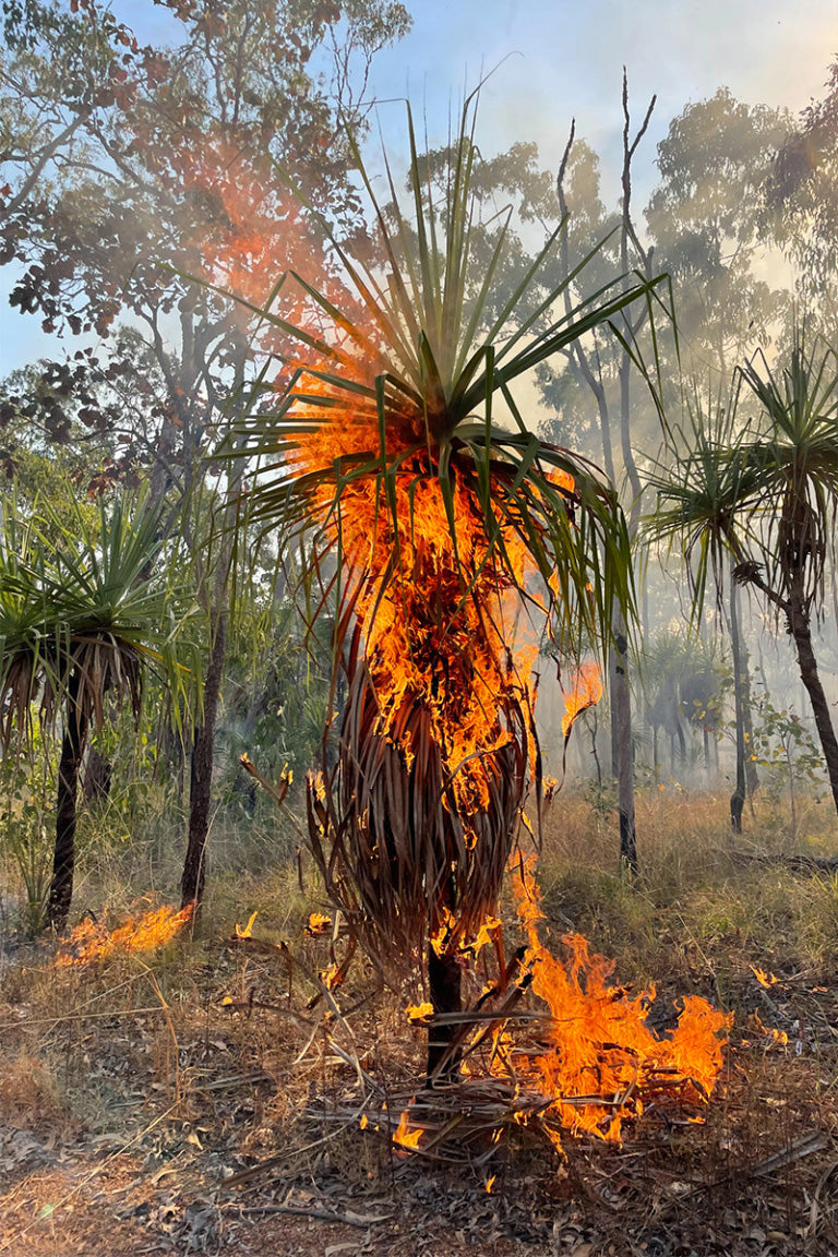 The Women of the Mimal Rangers: Keeping ancestral knowledge alive in A ...