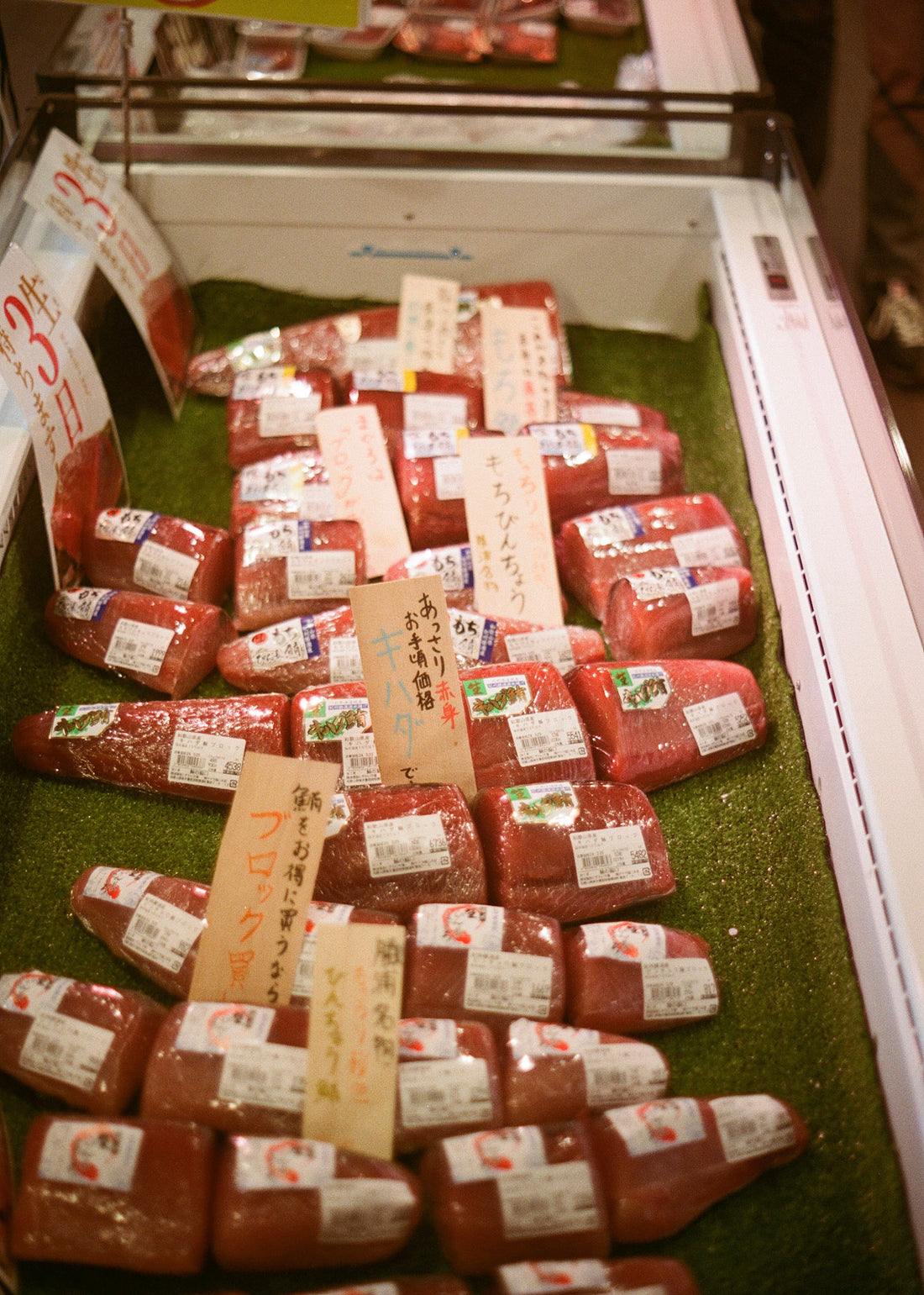 The Future of Tuna: Taking a Long Line to a Pacific Icon - Patagonia ...