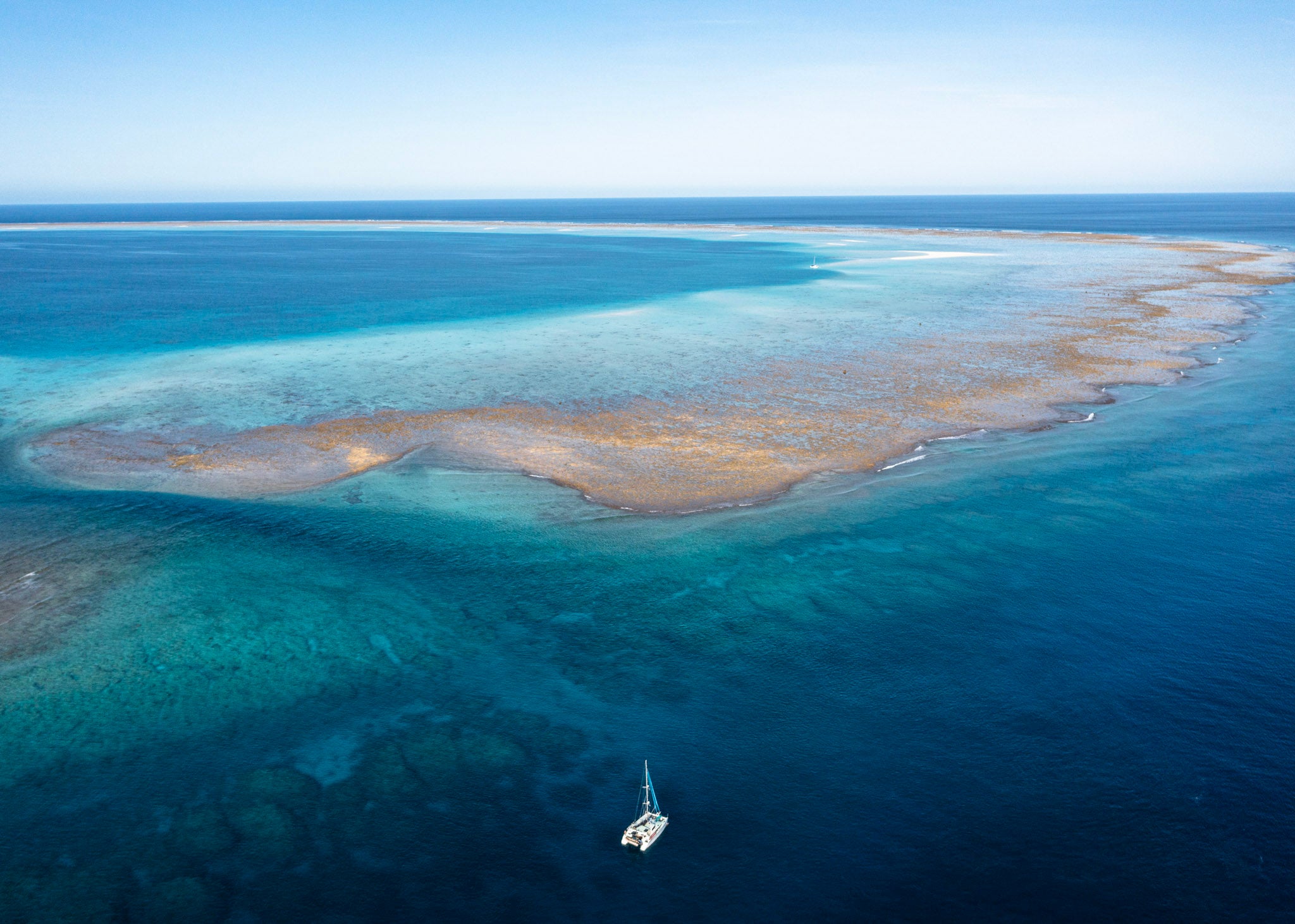Scott Reef Beckons... for both Ocean Lovers and the Gas Industry ...