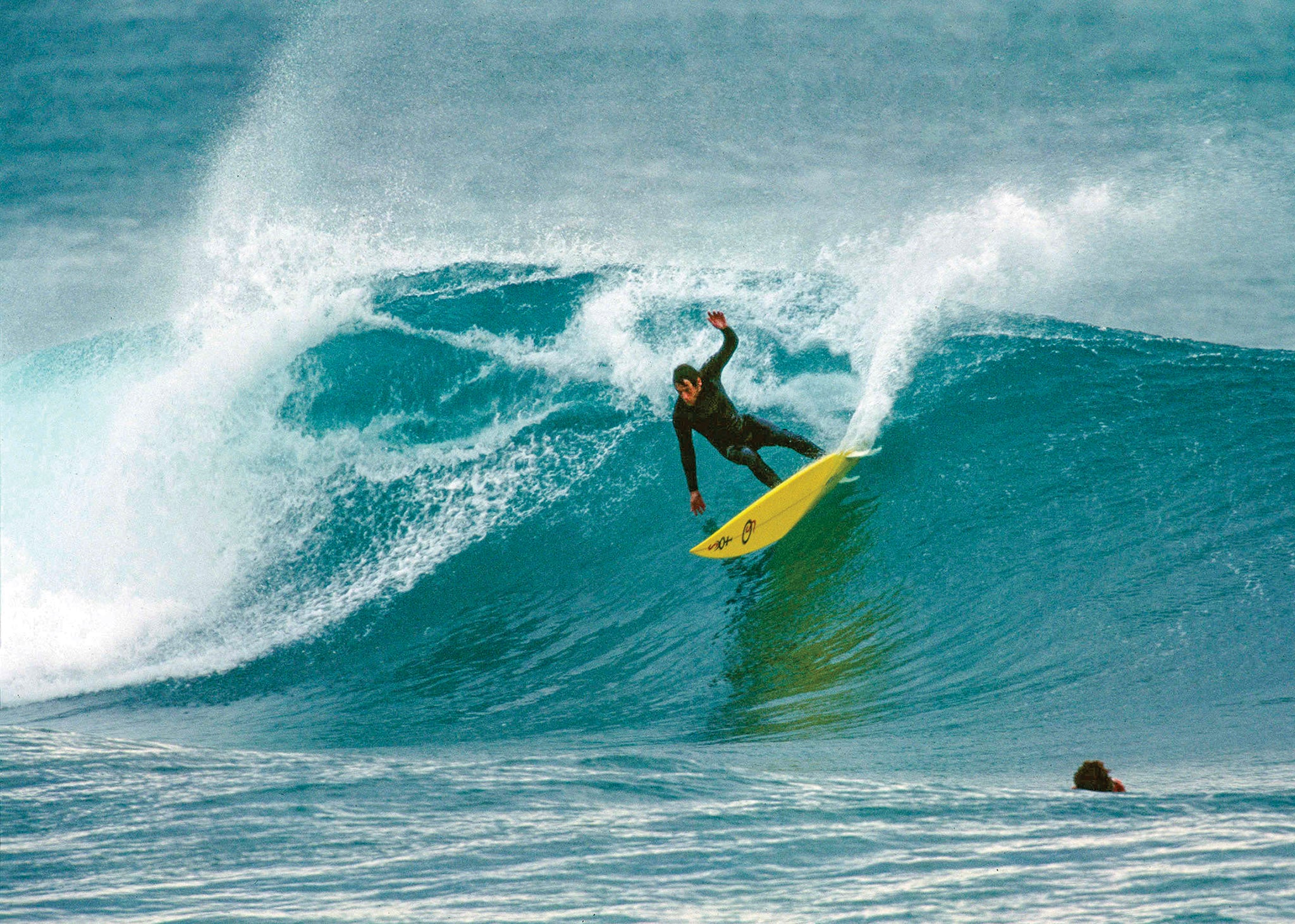 “What's past is prologue": Wayne Lynch wakes up on a new coast ...