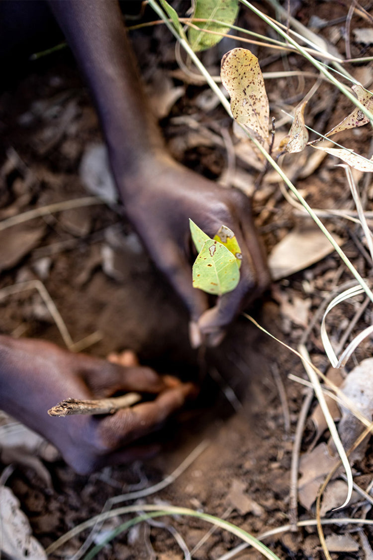 The Women of the Mimal Rangers: Keeping ancestral knowledge alive in A ...