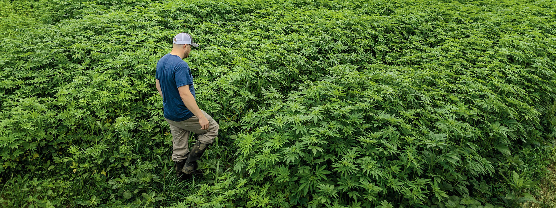 Hemp - Patagonia Australia